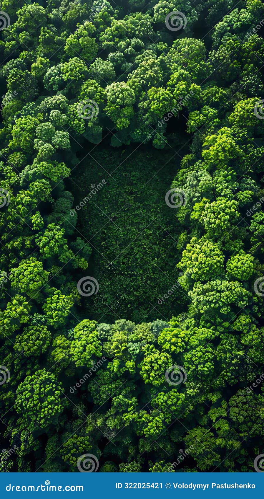 A Square Shaped Forest with Green Trees Stock Image - Image of square ...