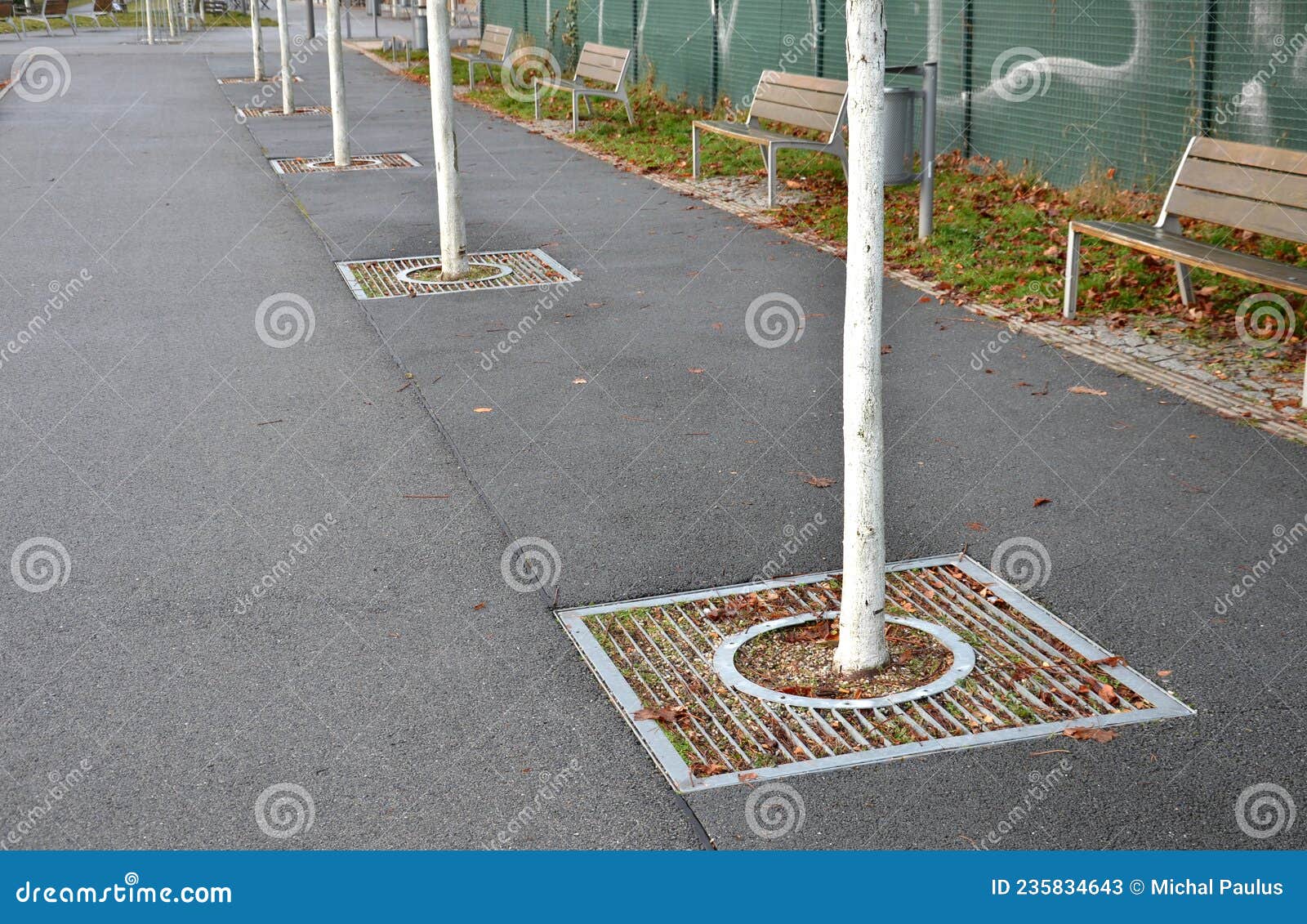 Square-shaped Lattice, with a Circular Hole for a Tree Trunk that is in ...