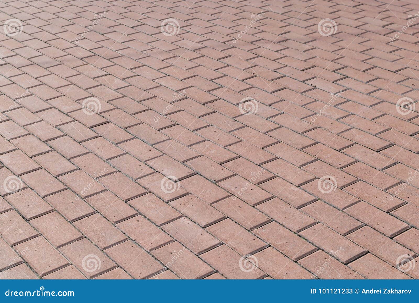 The Square or on a Sidewalk Lined with Brown Tiles, Paving Stones ...