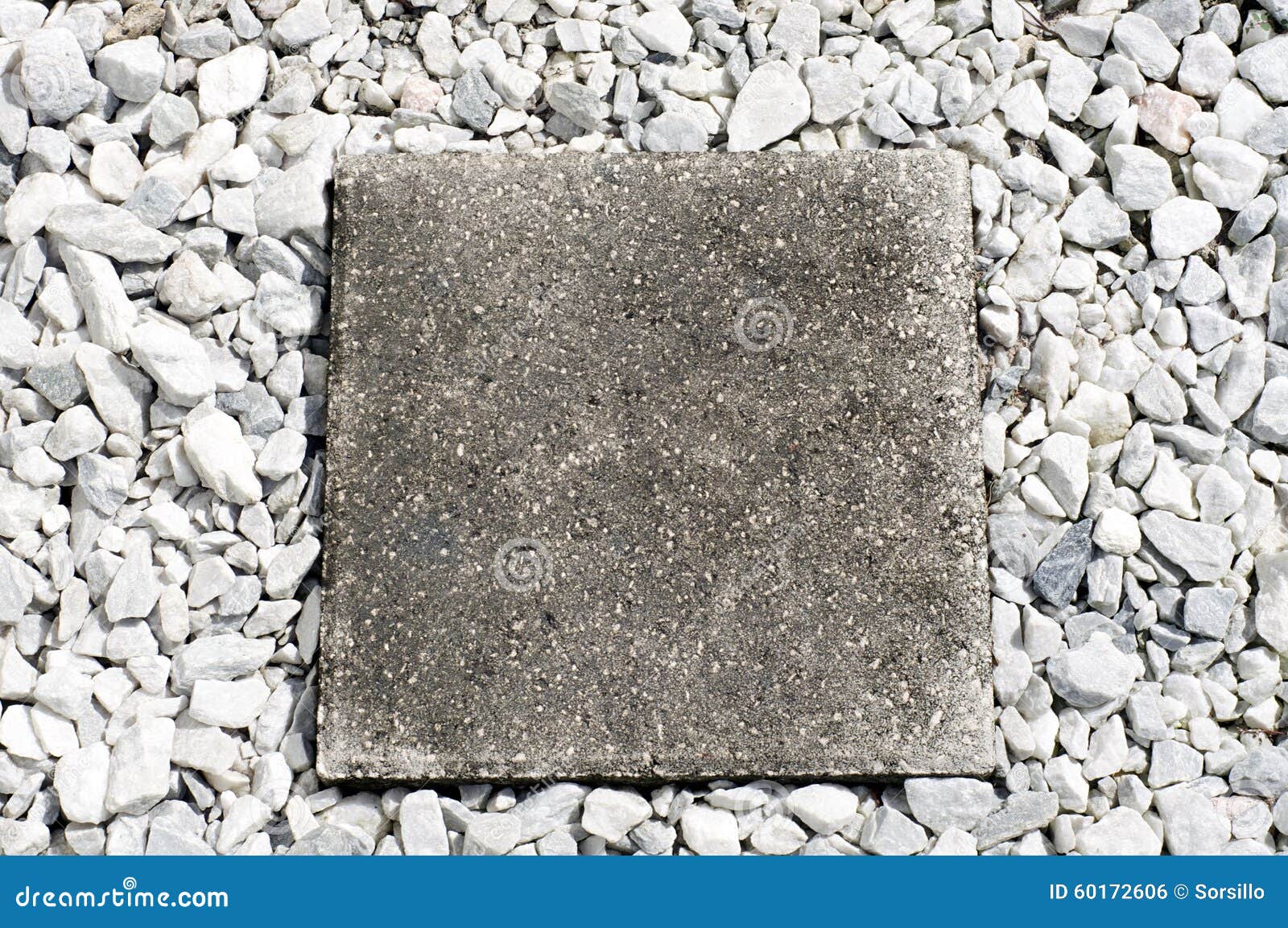Square stepping stone stock photo. Image of looking, white - 60172606