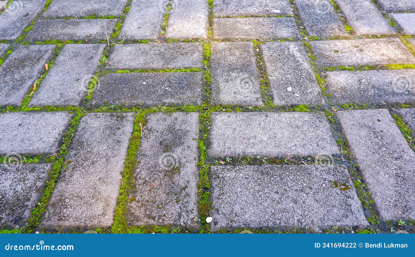 Square Stone Pavement with Moss Growing in the Gaps Stock Photo - Image ...