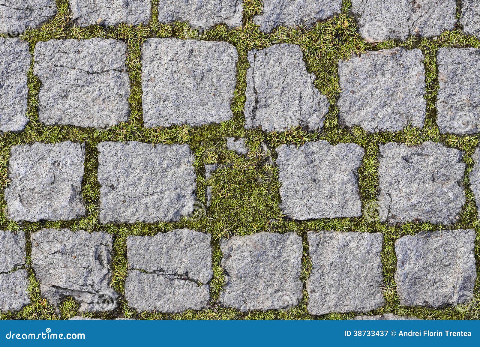 Square Stones Texture with Grass Stock Image - Image of cracked, leaf ...