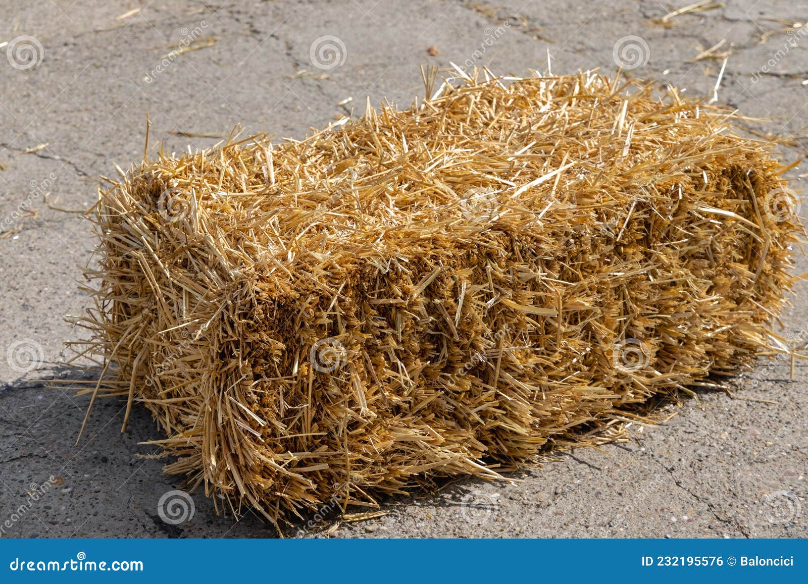 Square Straw Bale stock photo. Image of straw, dried - 232195576