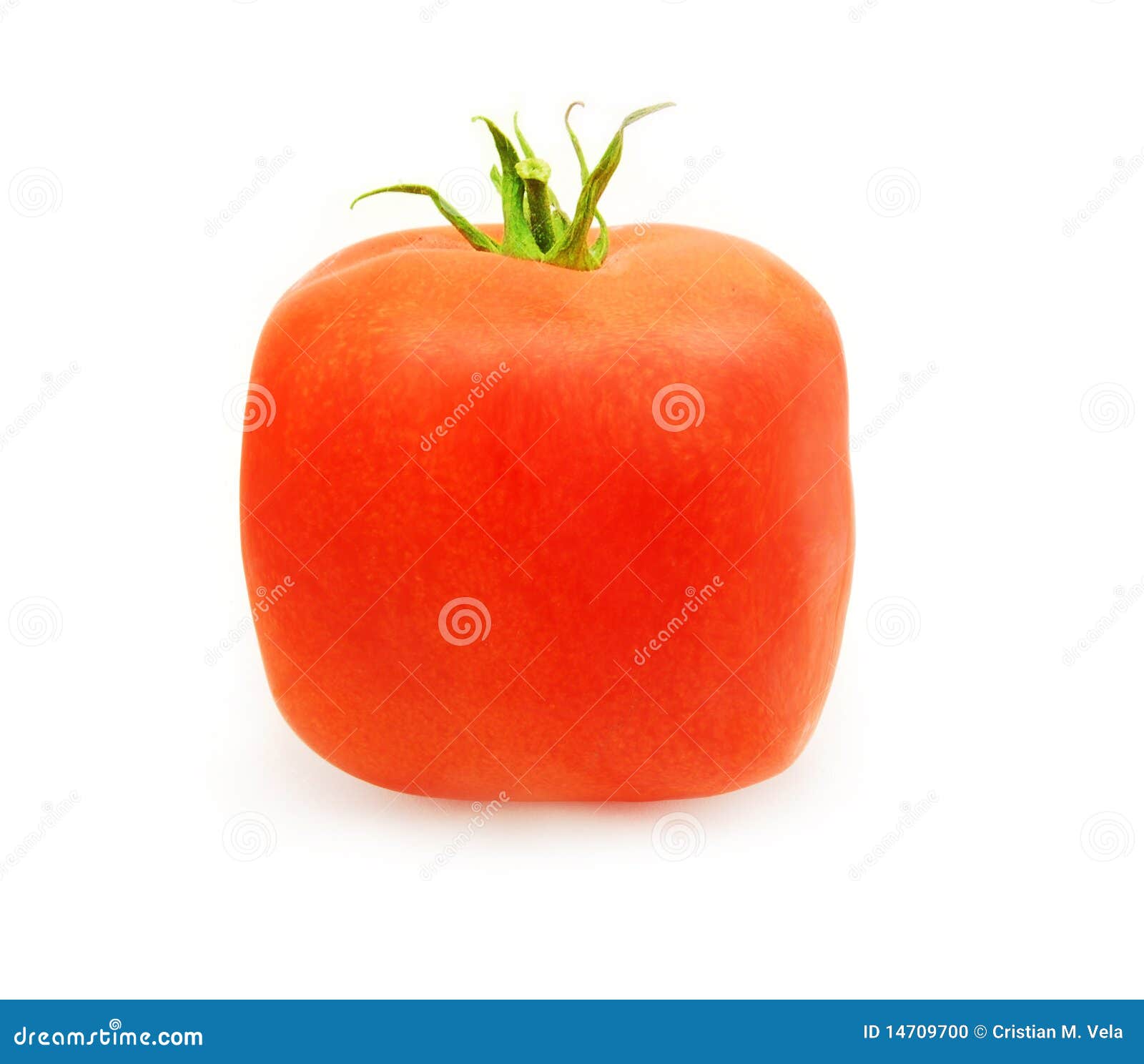 Square tomato stock photo. Image of wihte, mutant, square - 14709700