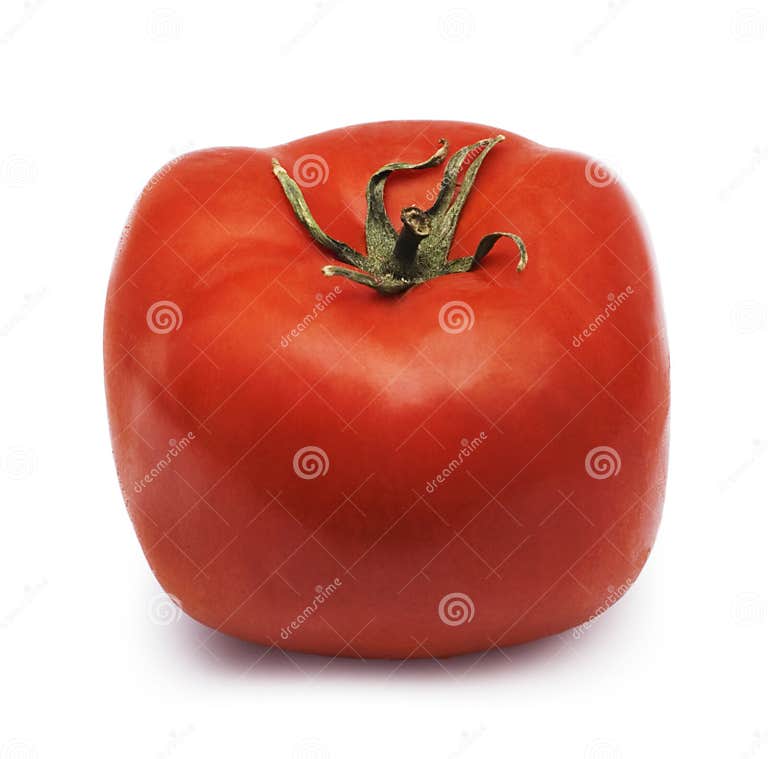 Square tomato stock photo. Image of sweet, square, healthy - 4606484