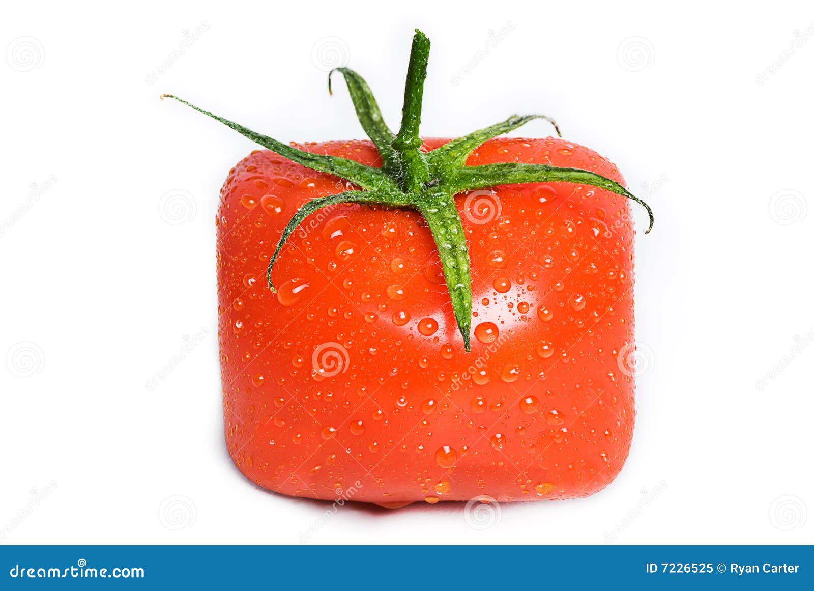 Square Tomato with Water Drops. Stock Image - Image of fresh, shiny ...