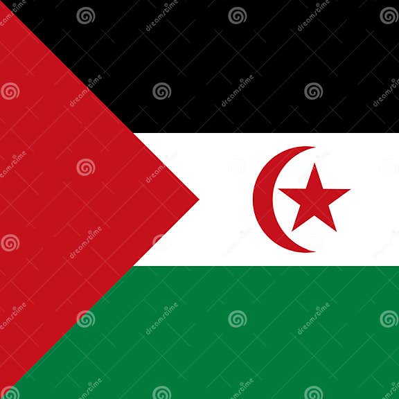 Square Vector Flag of Sahrawi Arab Democratic Republic Stock Vector ...