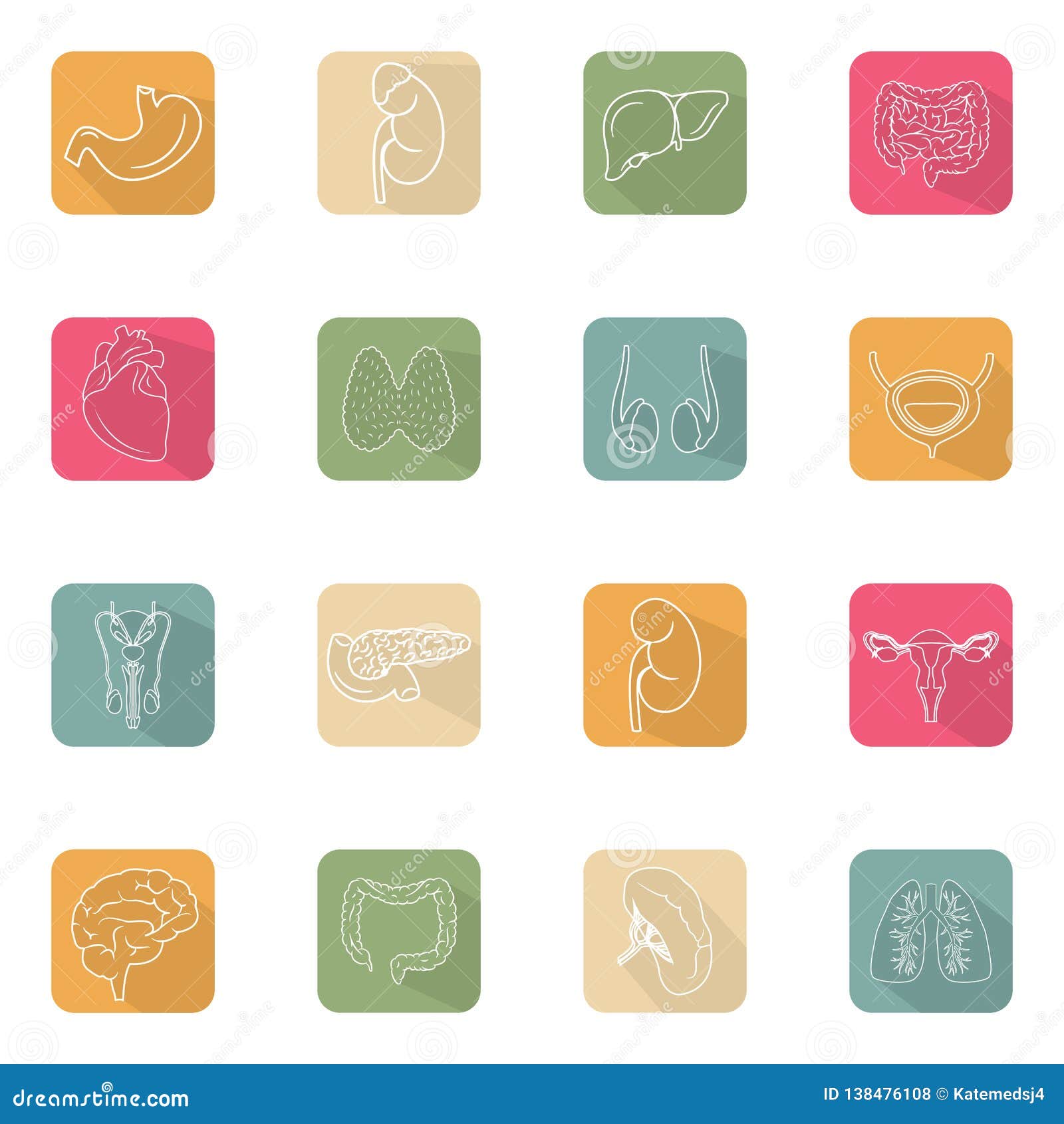 Square Vector Icons of Human Organs Stock Vector - Illustration of line ...