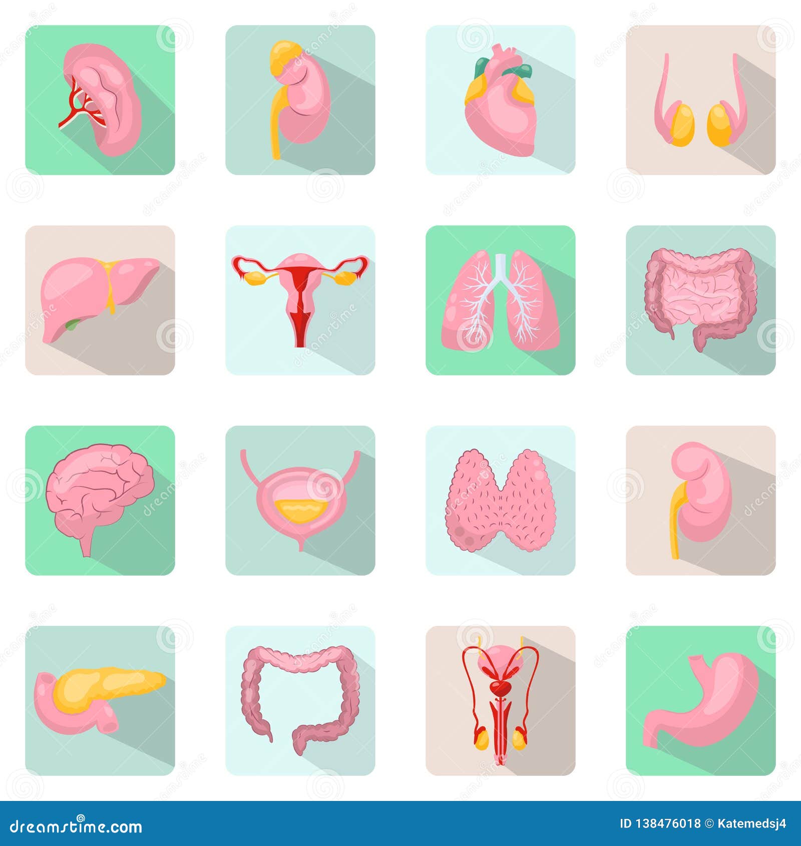 Square Vector Icons of Human Organs Stock Vector - Illustration of ...