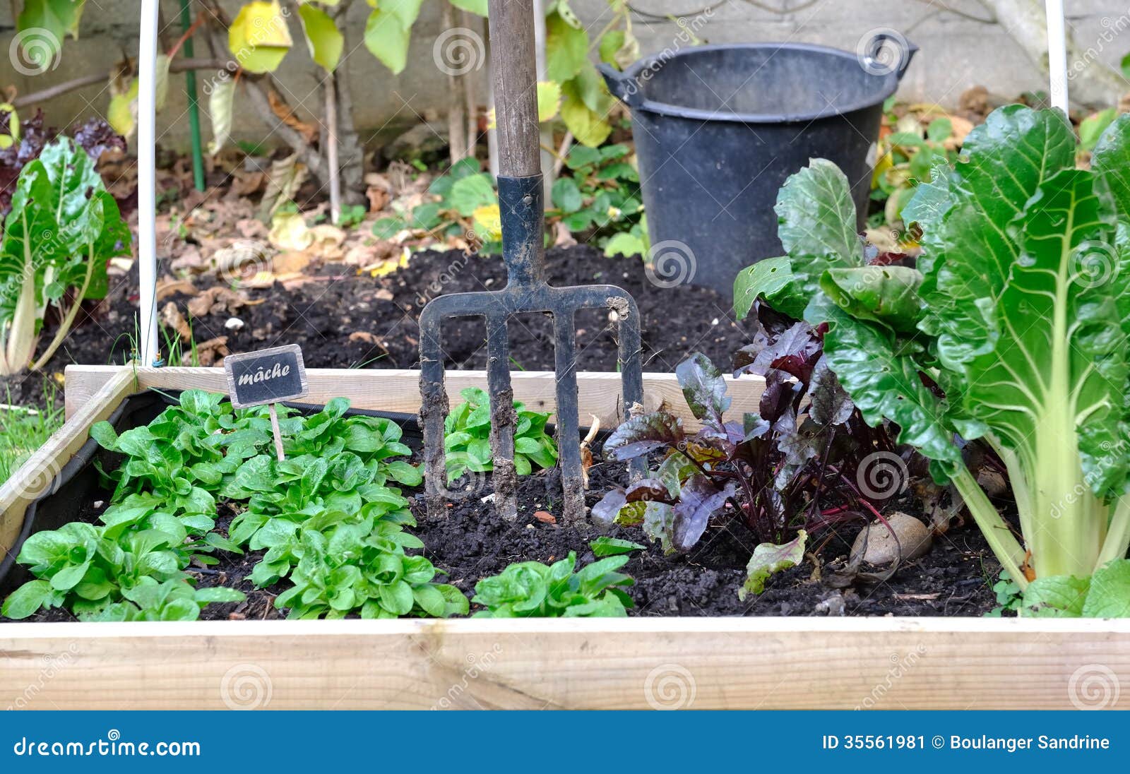 Square for Vegetable Garden Stock Image - Image of seasonal, garden ...