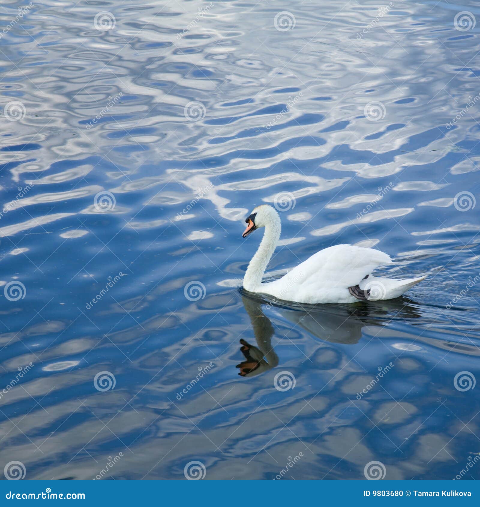 Square water background stock photo. Image of wave, white - 9803680