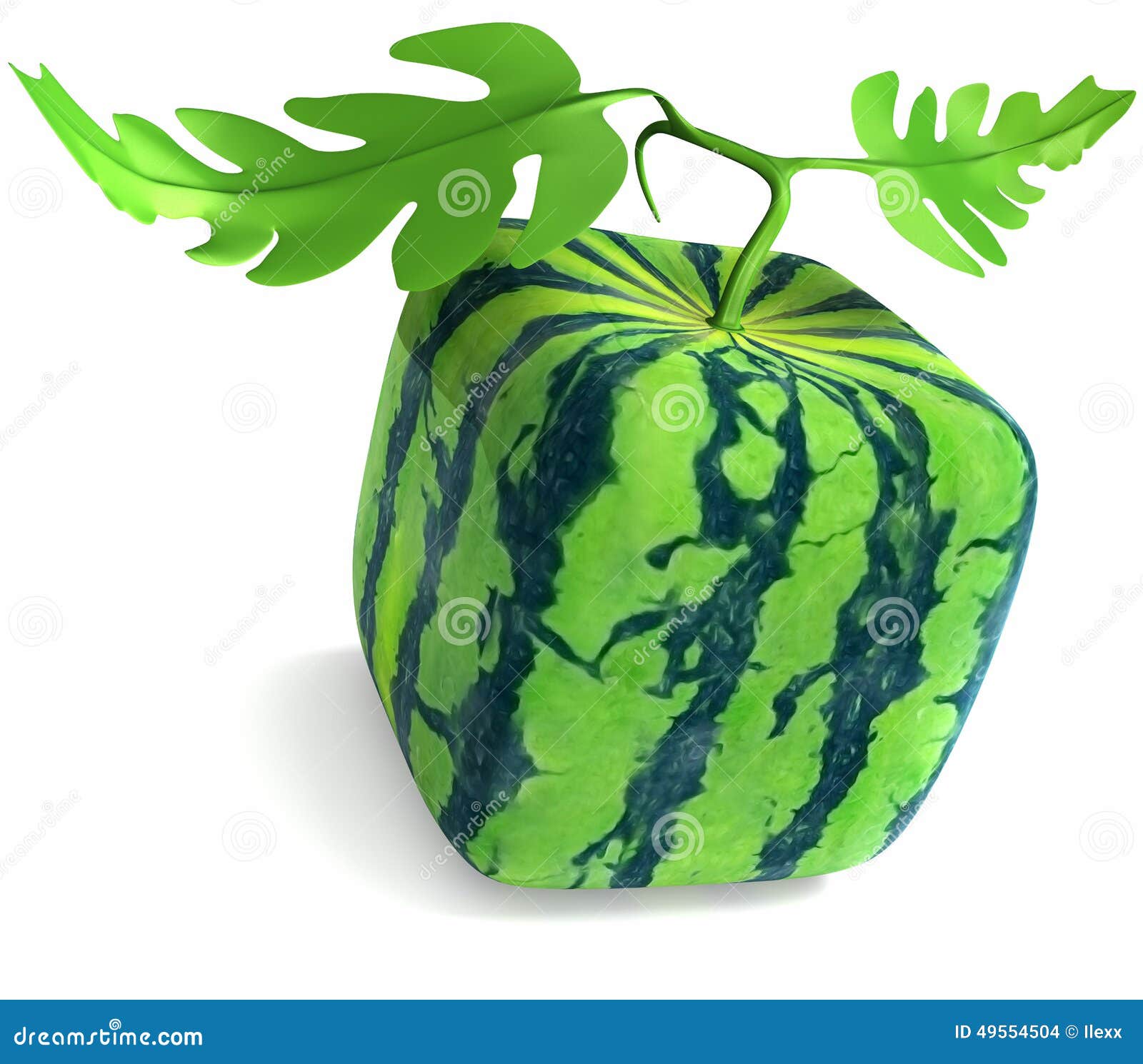 Square watermelon stock illustration. Illustration of single - 49554504
