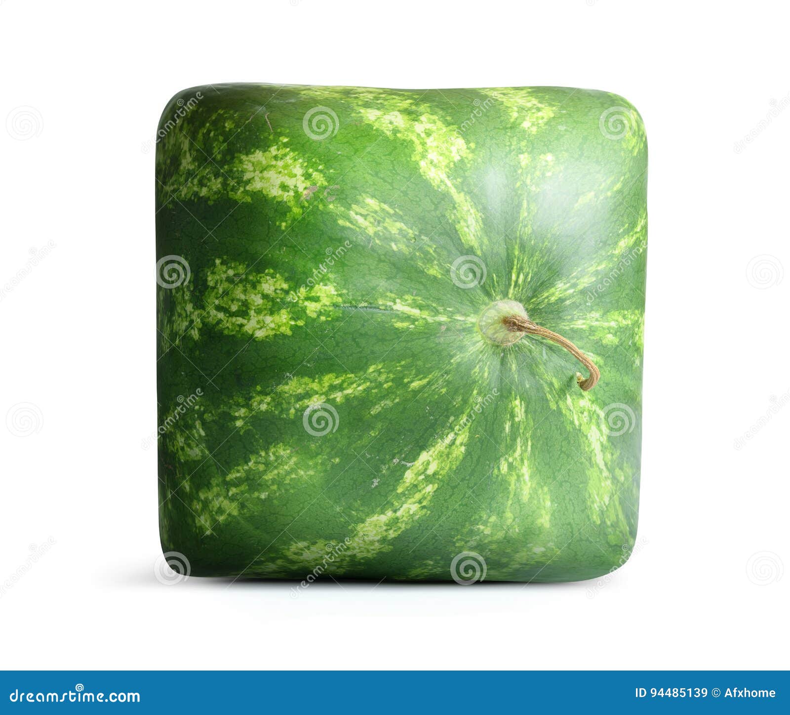 Square Watermelon Stock Image | CartoonDealer.com #24909979
