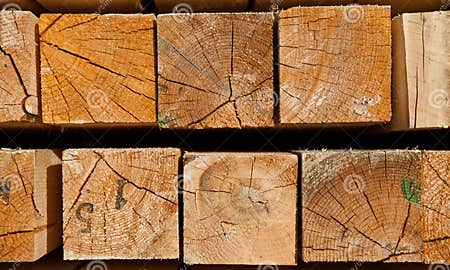 Square wooden logs stock photo. Image of build, house - 22219442