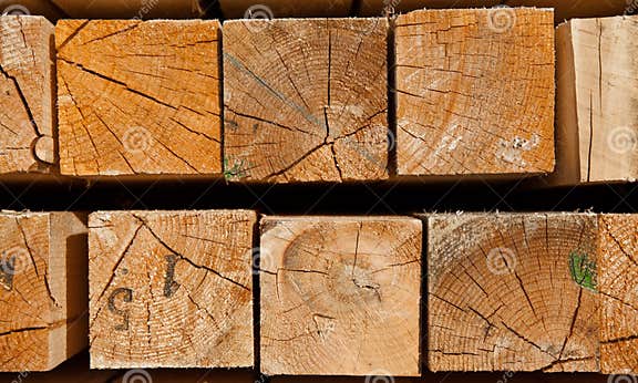 Square wooden logs stock photo. Image of build, house - 22219442