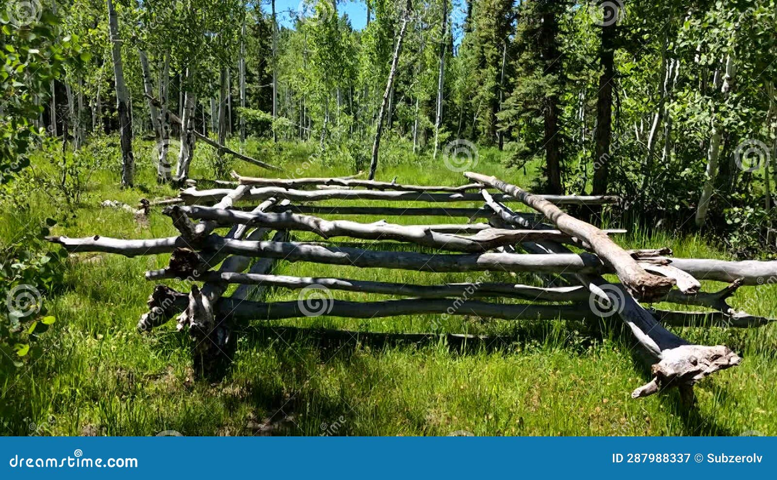 Square Wooden Structure in Lush Green Forest Setting Stock Video ...