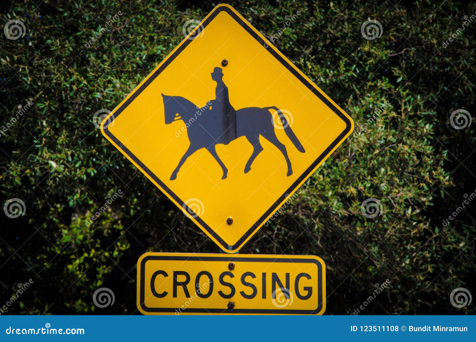 Square Yellow Horse Crossing Sign. Stock Photo - Image of alert, horse ...