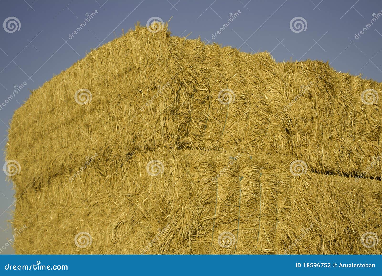 Squared Hay Balls Stacked in a Sunny Day Stock Photo - Image of ...