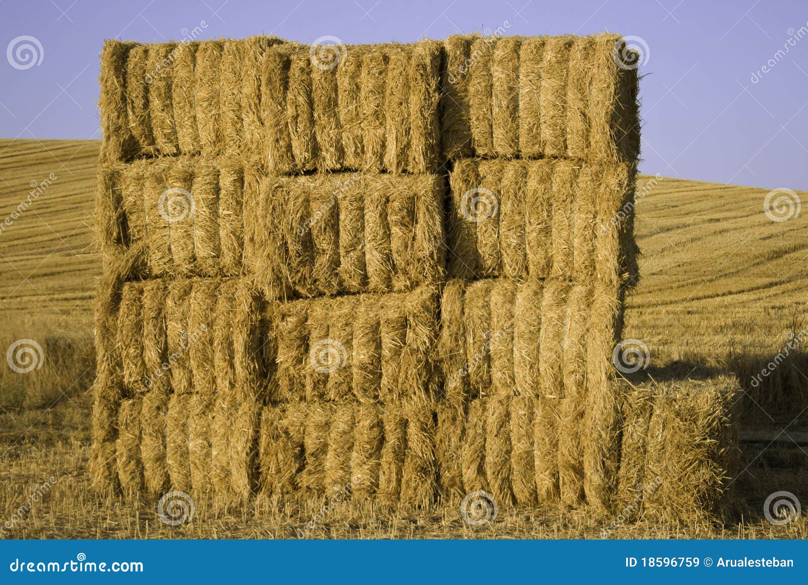 Squared Hay Balls Stacked in a Sunny Day Stock Image - Image of wheat ...