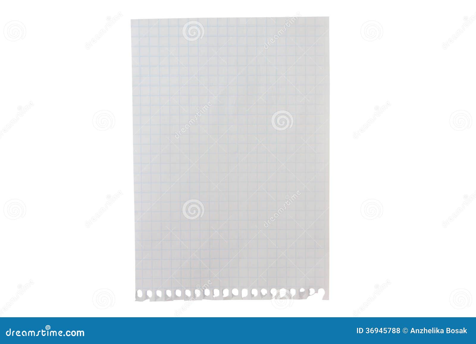 Squared paper stock photo. Image of design, document - 36945788