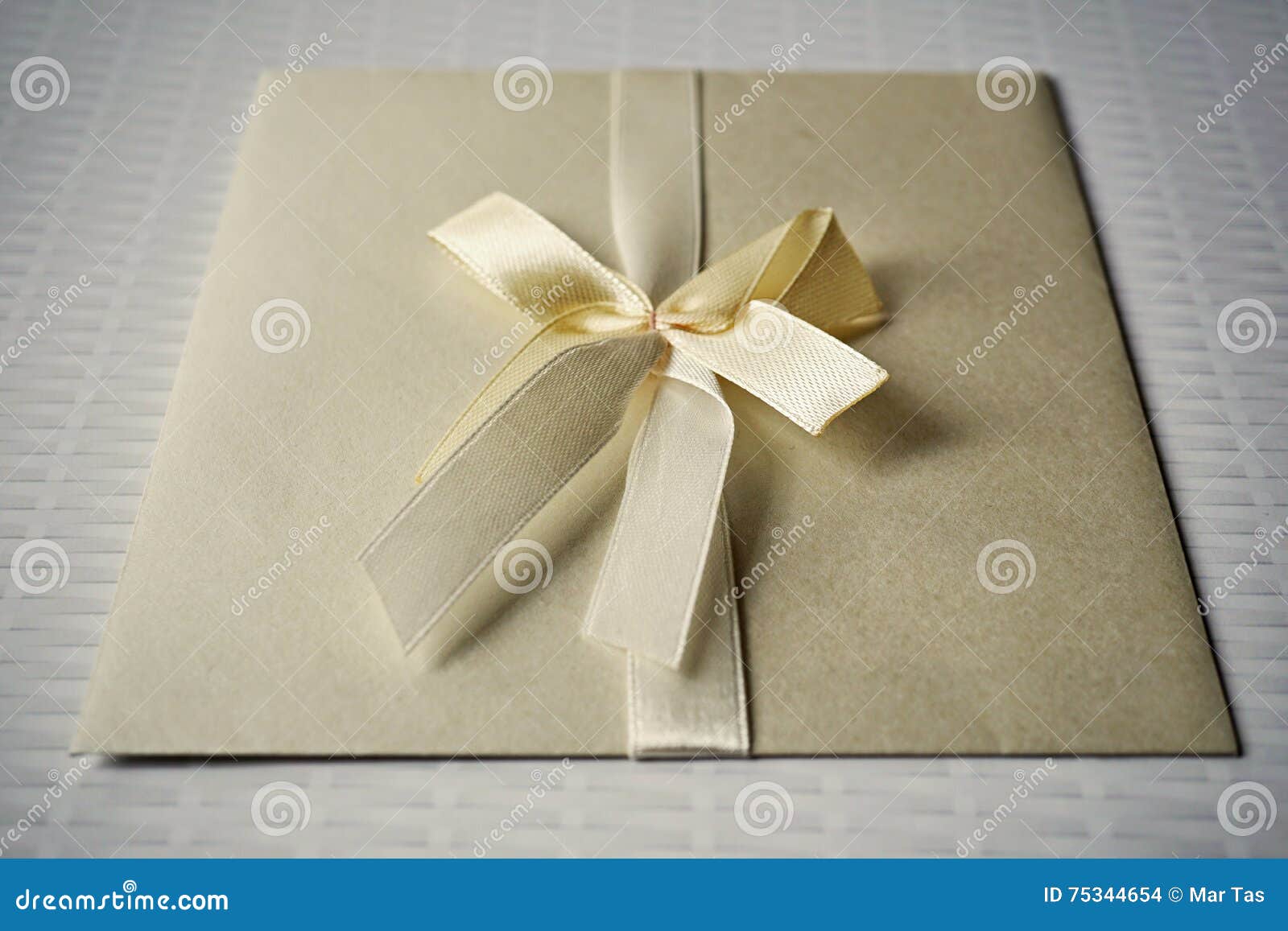 Squared Silver Envelope with Pearly Ribbon and Topknot As an Example of ...