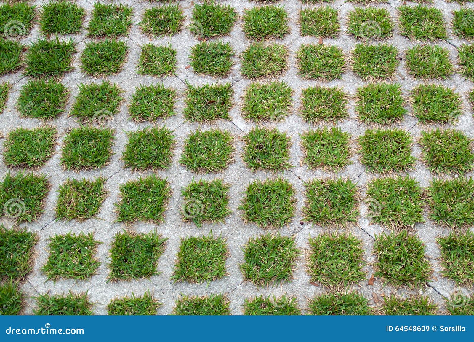 Squares Of Grass And Concrete - Modern Outdoor Pavement. Stock Photo ...