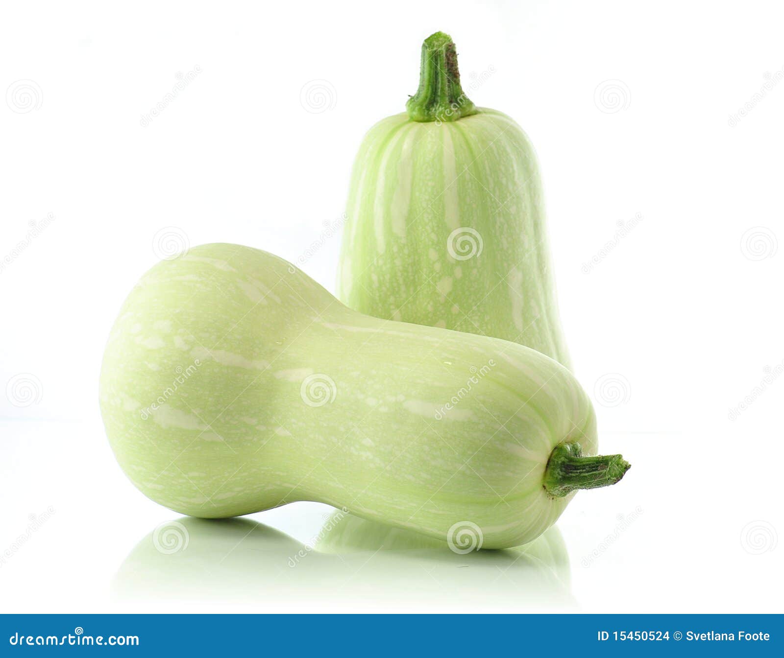 Squash stock photo. Image of fruit, length, striped, healthy - 15450524