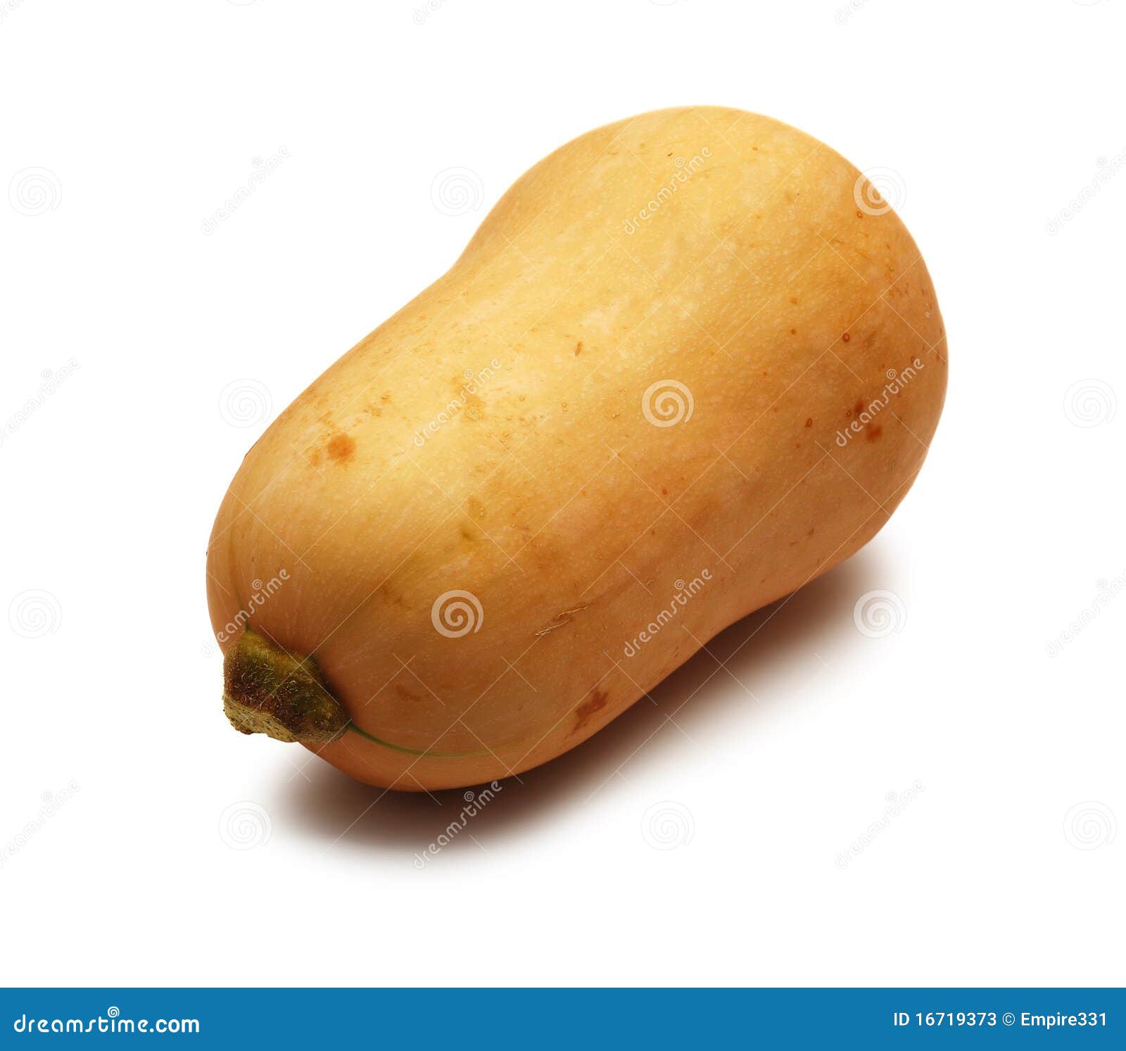 Squash stock image. Image of vegetarian, closeup, vegetable - 16719373