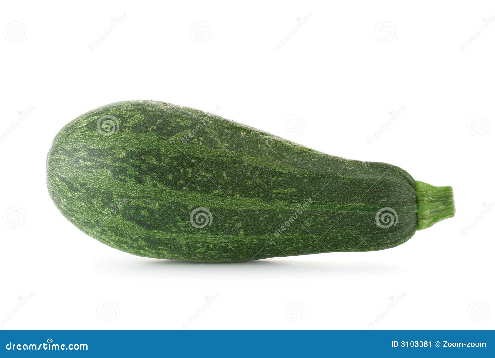 Squash stock image. Image of summer, striped, vegetable - 3103081