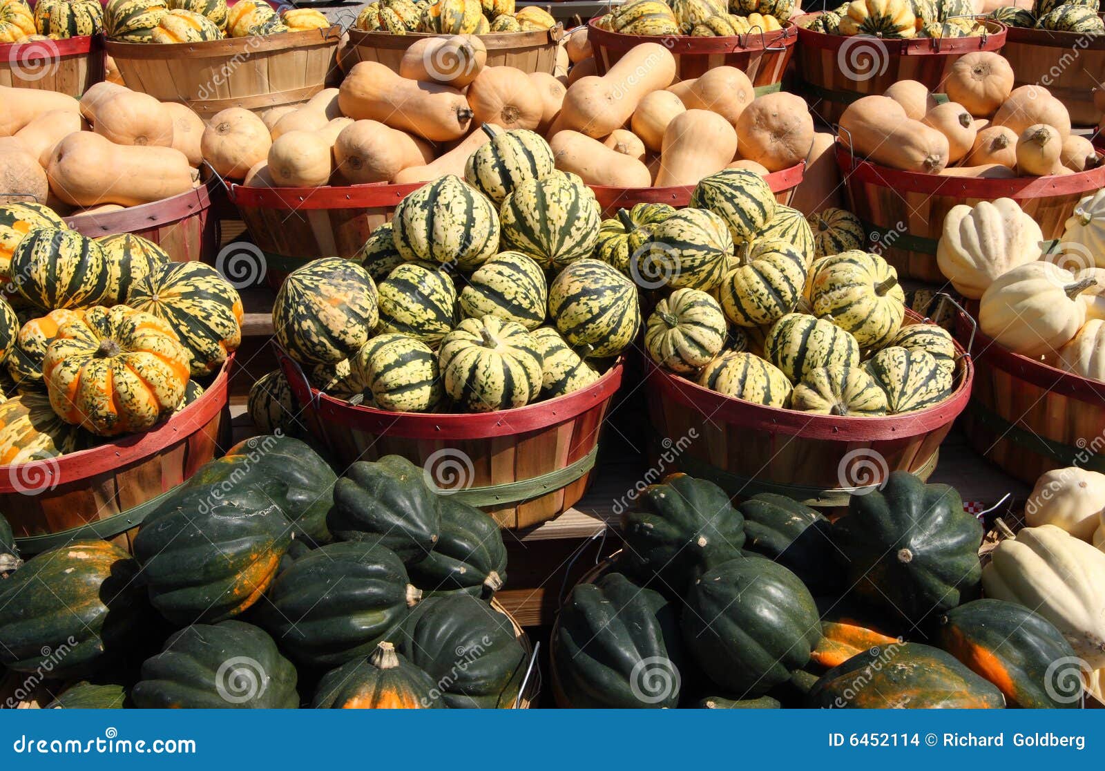Squash Background stock photo. Image of vegetables, halloween - 6452114
