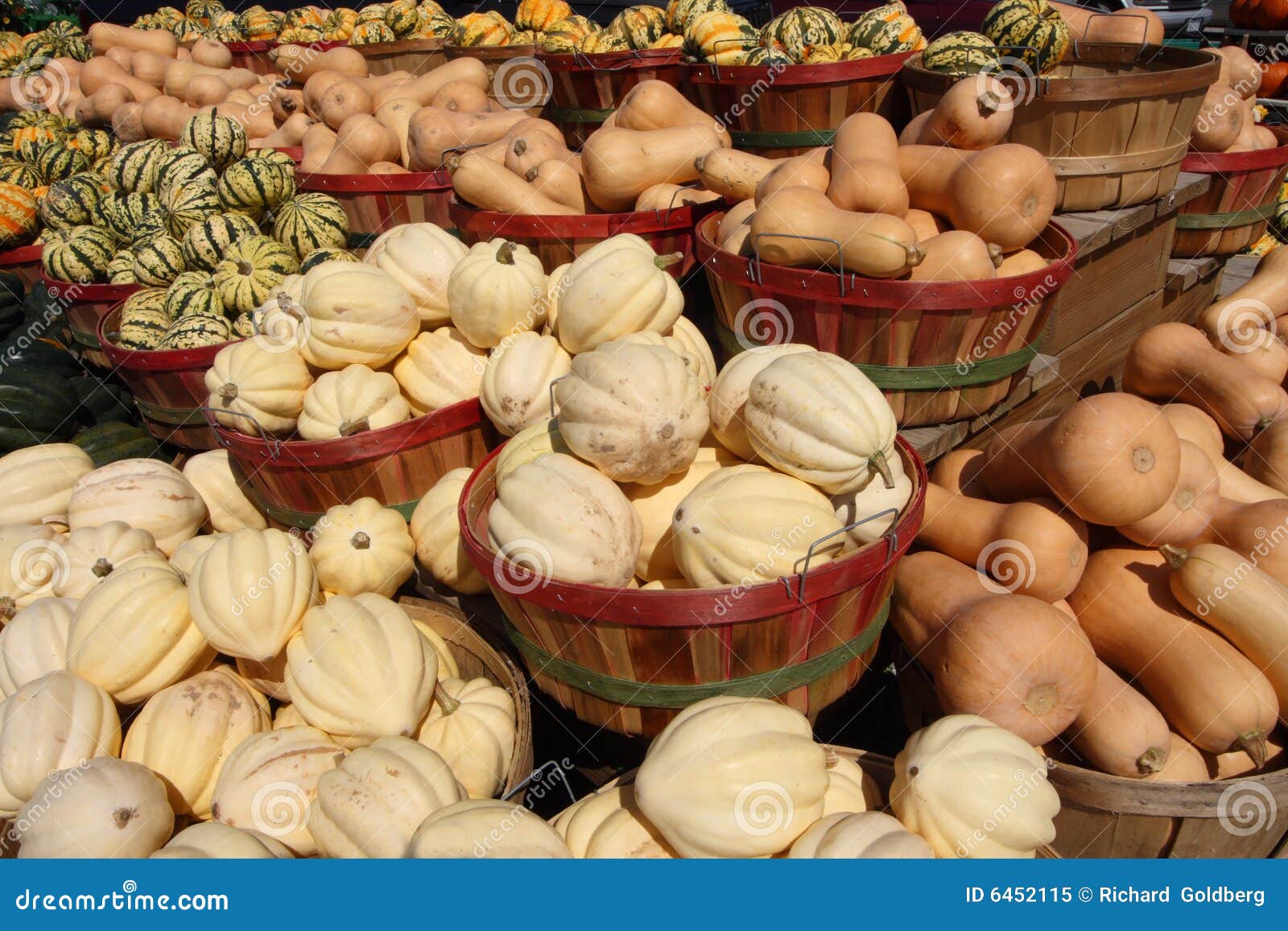 Squash Background stock image. Image of ingredient, pumpkins - 6452115