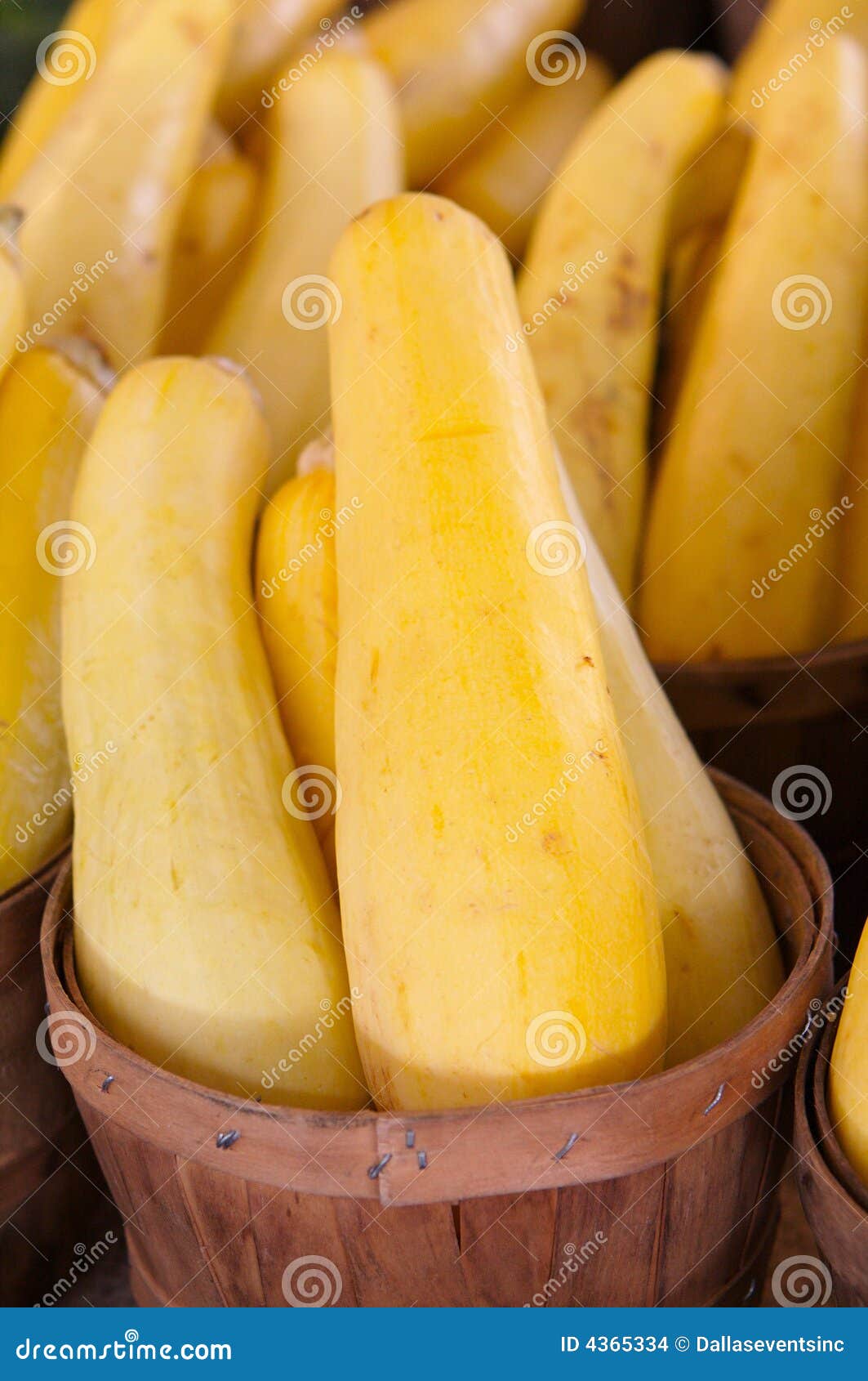 Squash in a basket stock photo. Image of close, food, gourd - 4365334