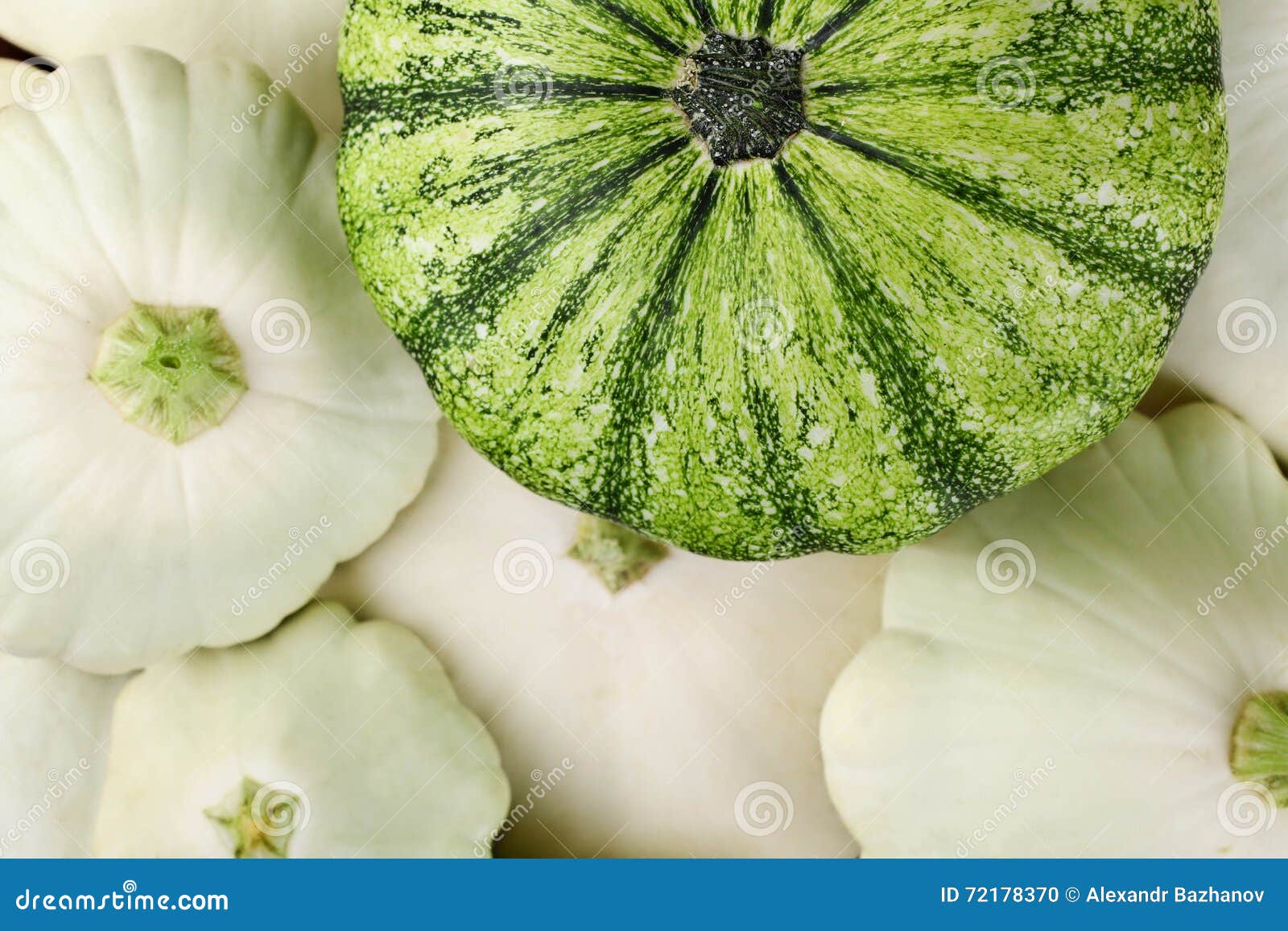 Squash stock photo. Image of green, diet, market, health - 72178370