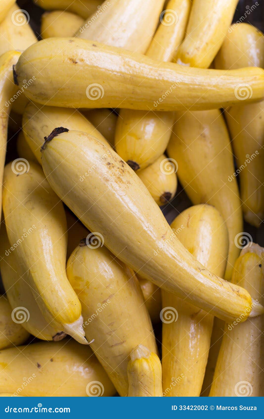 Squash stock photo. Image of ingredient, ripe, healthy - 33422002