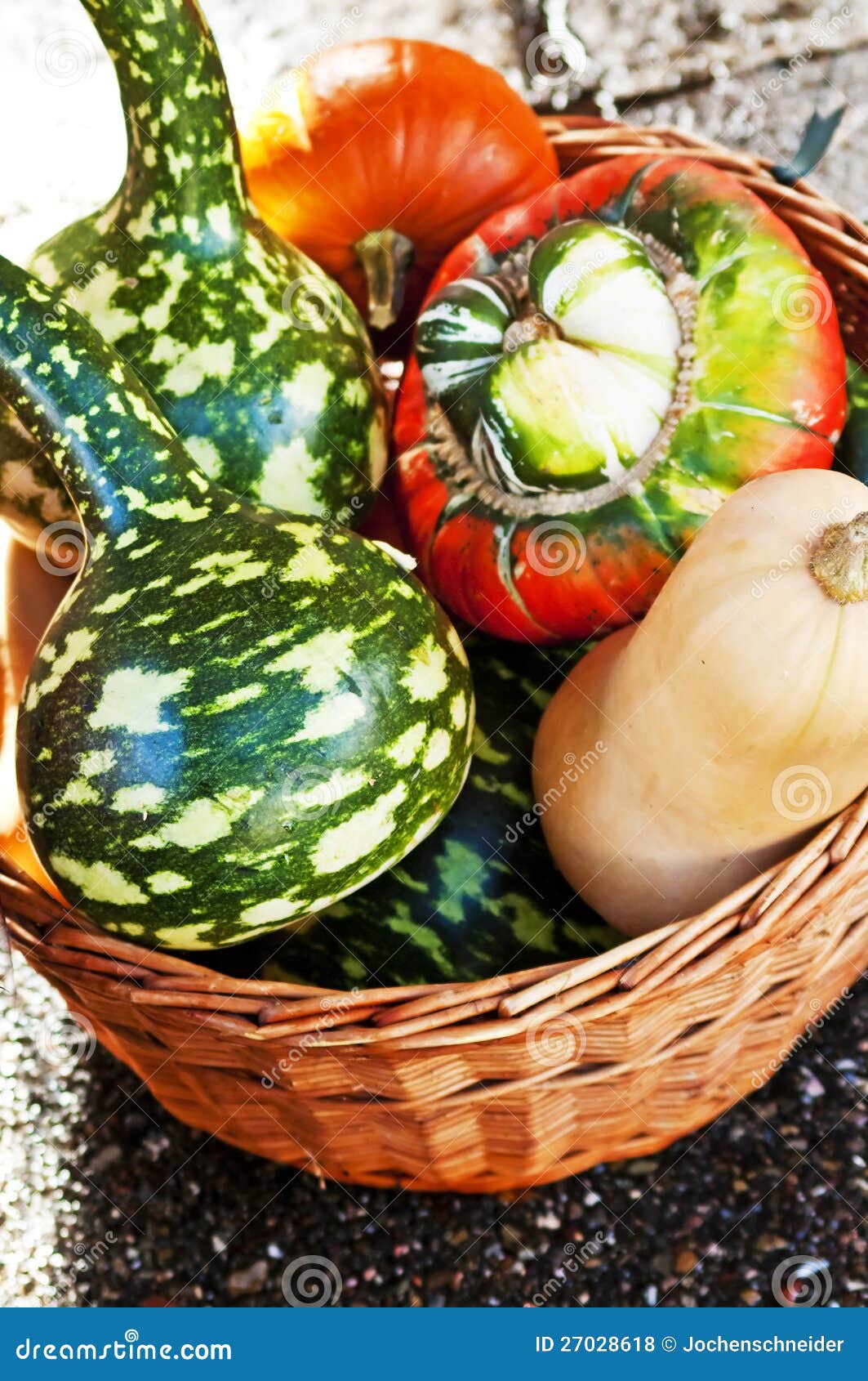 Squash for decoration stock photo. Image of desk, basket - 27028618