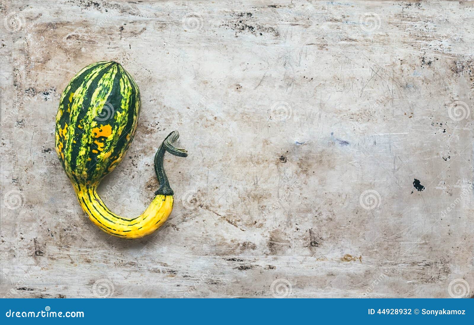 Squash of a Freakish Shape on the Old Metal Surface Stock Photo - Image ...