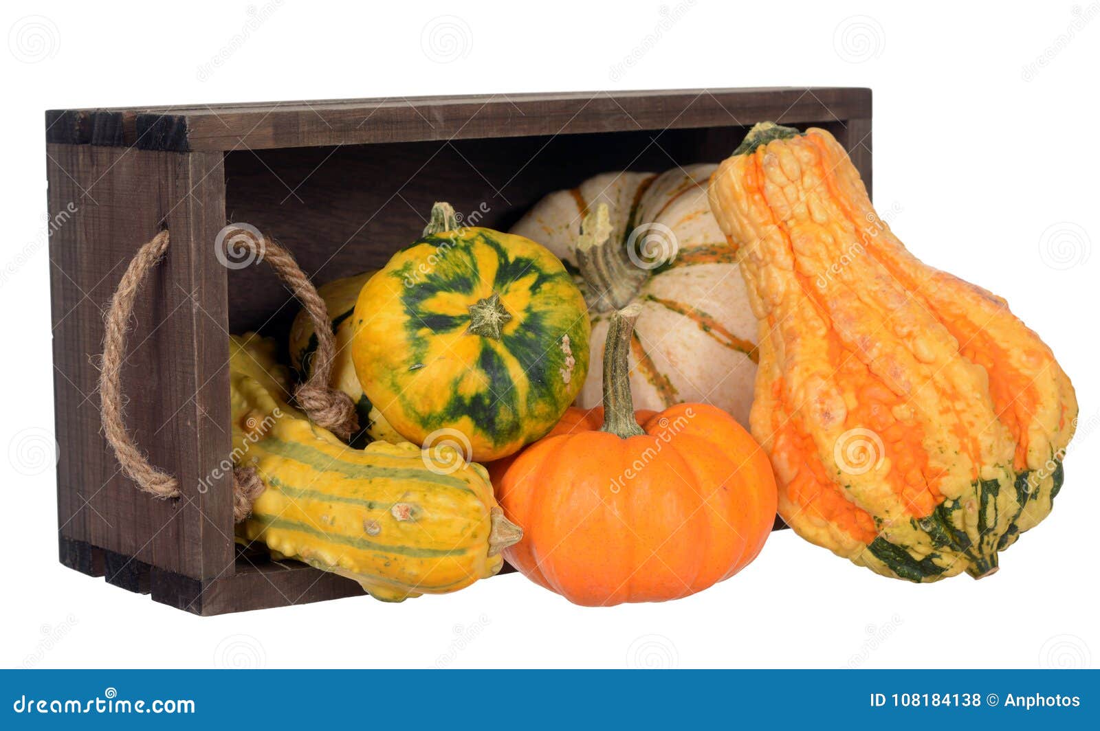 Squash gourd stock photo. Image of season, harvest, pumpkin - 108184138