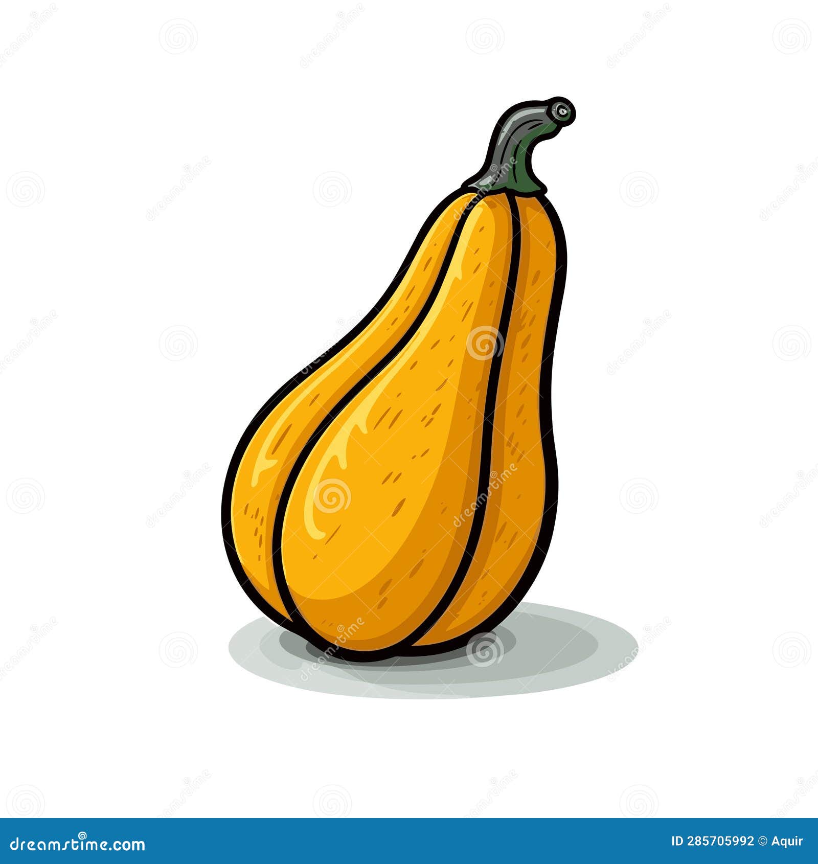 Squash Hand-drawn Illustration. Squash. Vector Doodle Style Cartoon ...