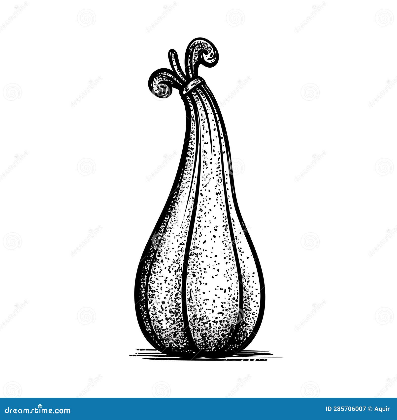 Squash Hand-drawn Illustration. Squash. Vector Doodle Style Cartoon ...