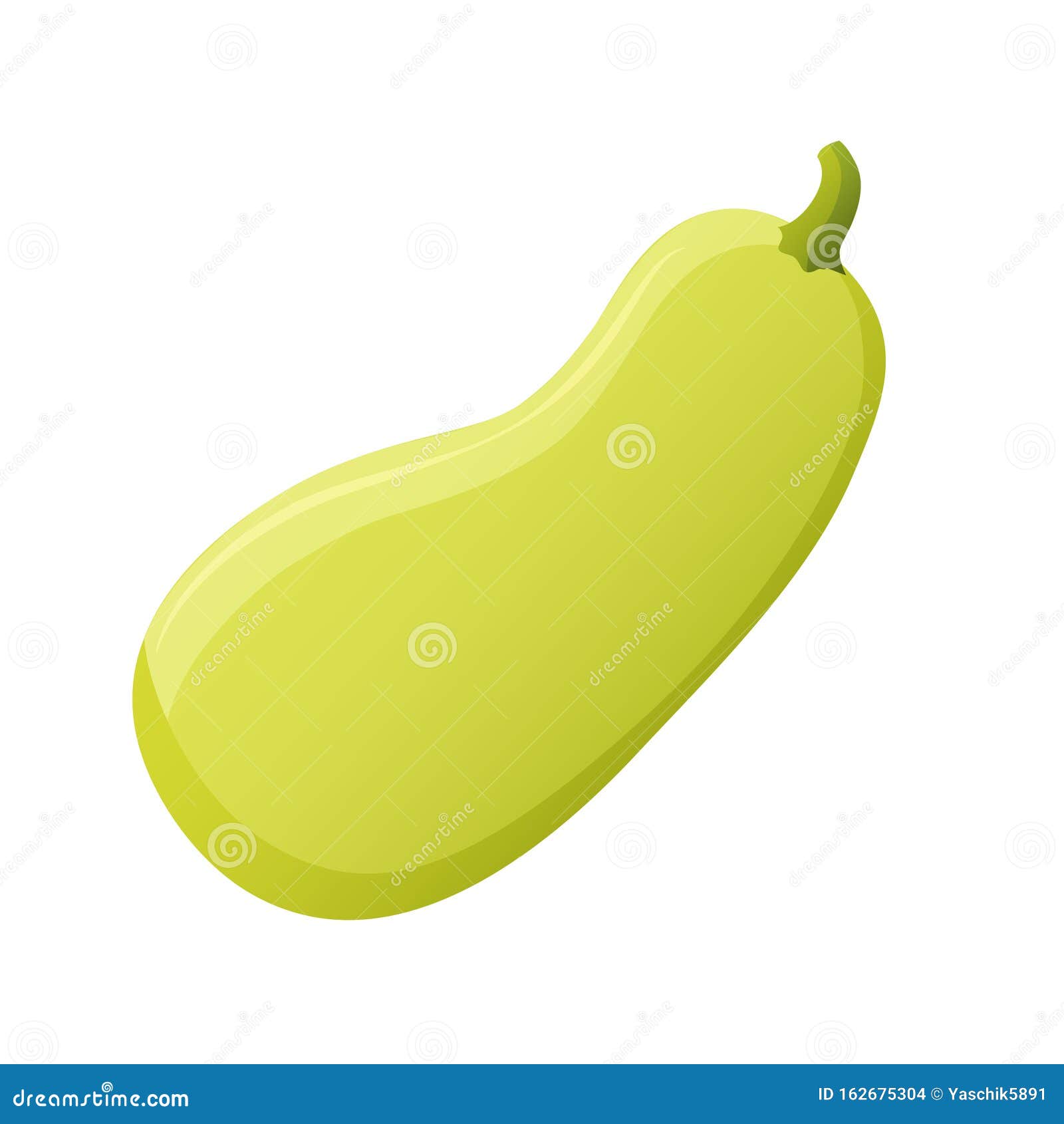 Squash Icon. Cartoon Style Object. Vector Illustration Stock ...