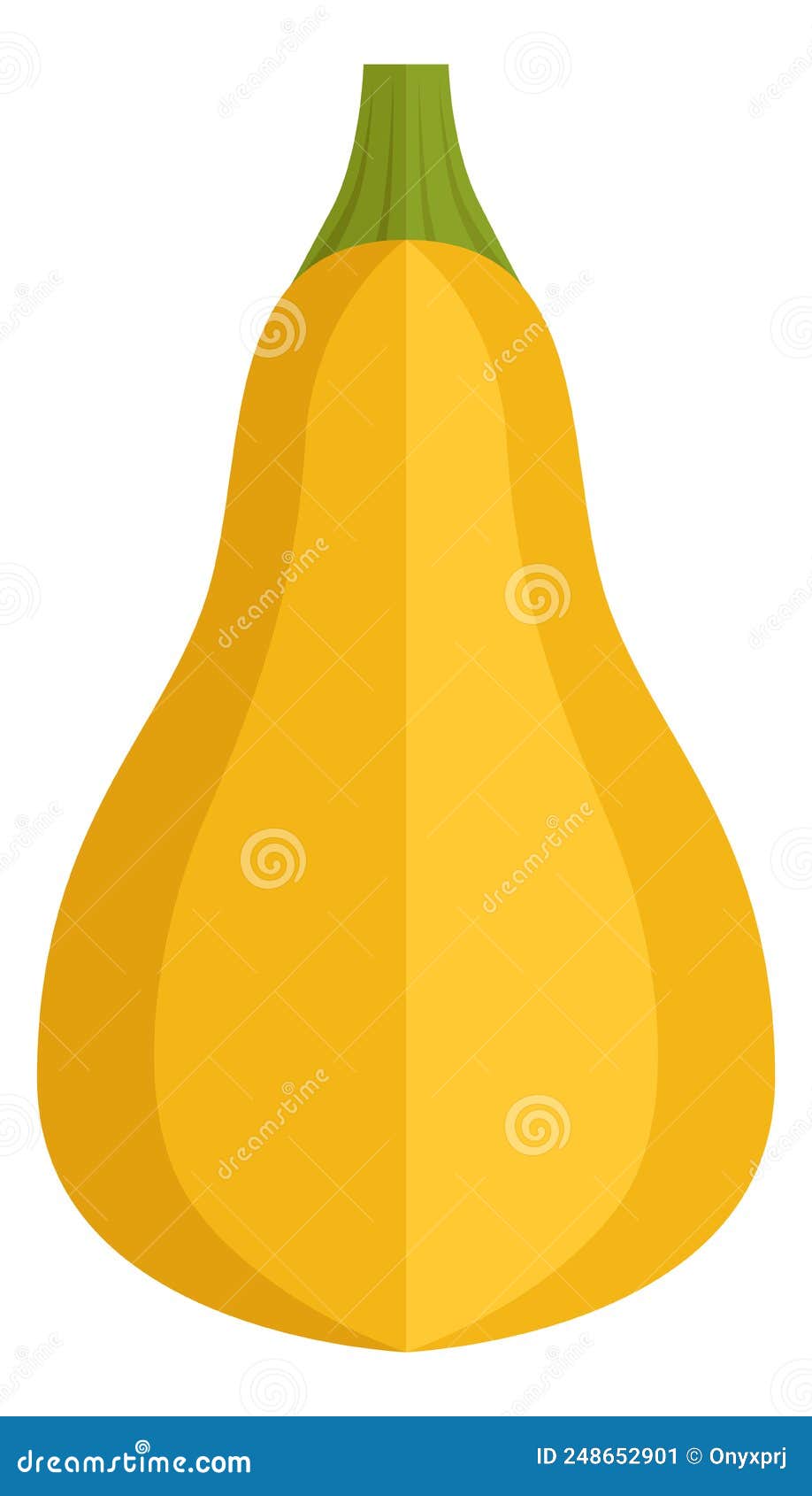 Squash Icon. Raw Farm Vegetable Flat Symbol Stock Vector - Illustration ...