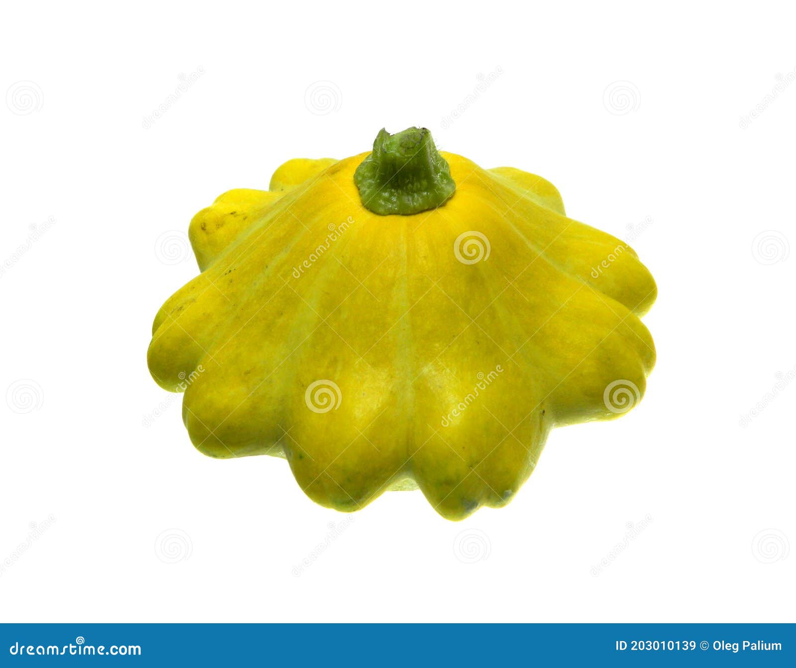Squash Isolated on White Background Stock Image - Image of decorative ...