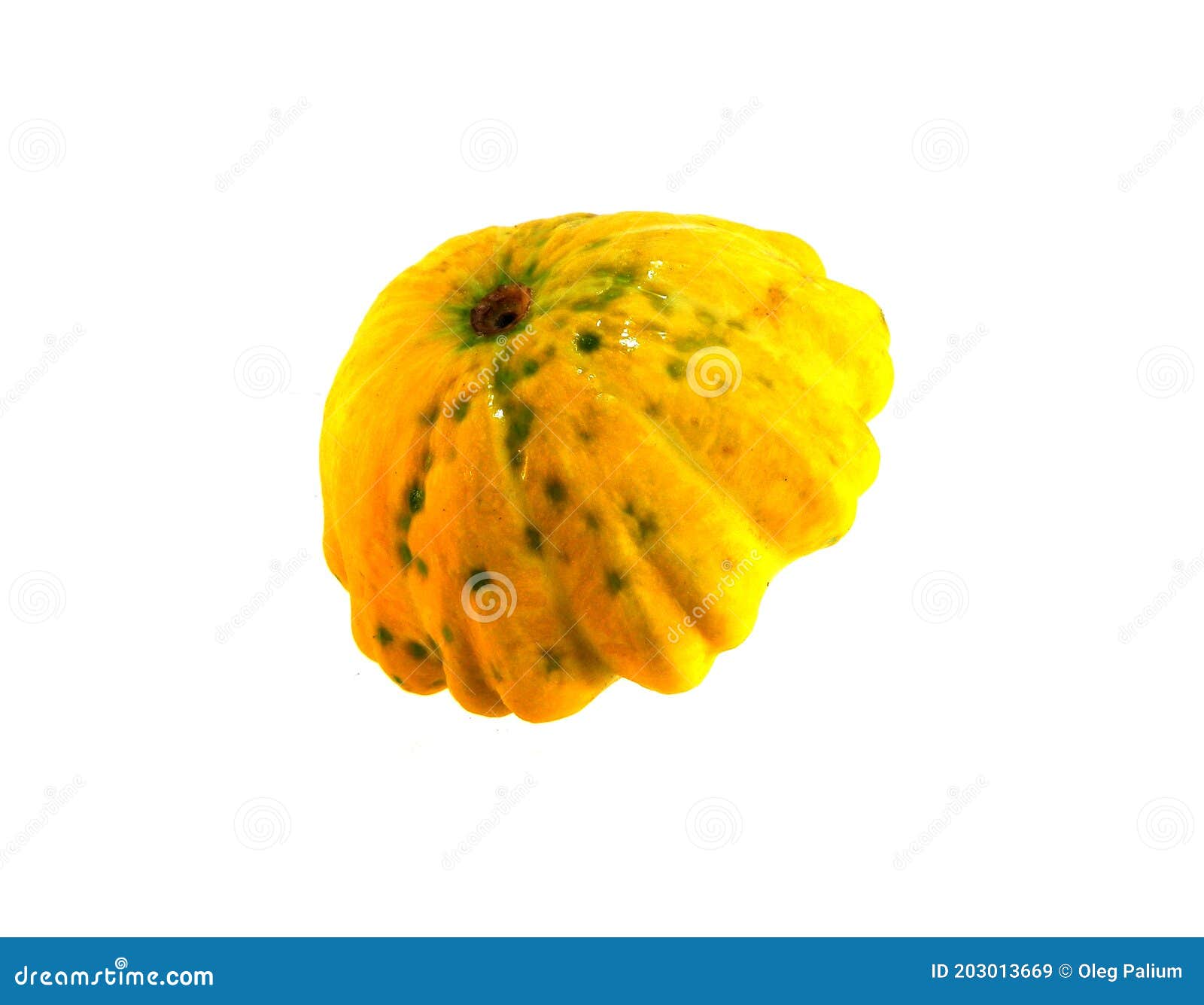 Squash Isolated on White Background Stock Image - Image of background ...
