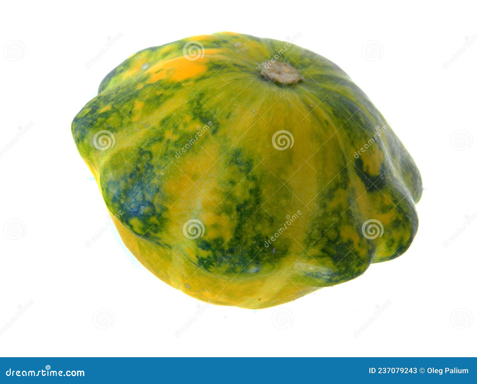 Squash Isolated on White Background Stock Image - Image of healthy ...