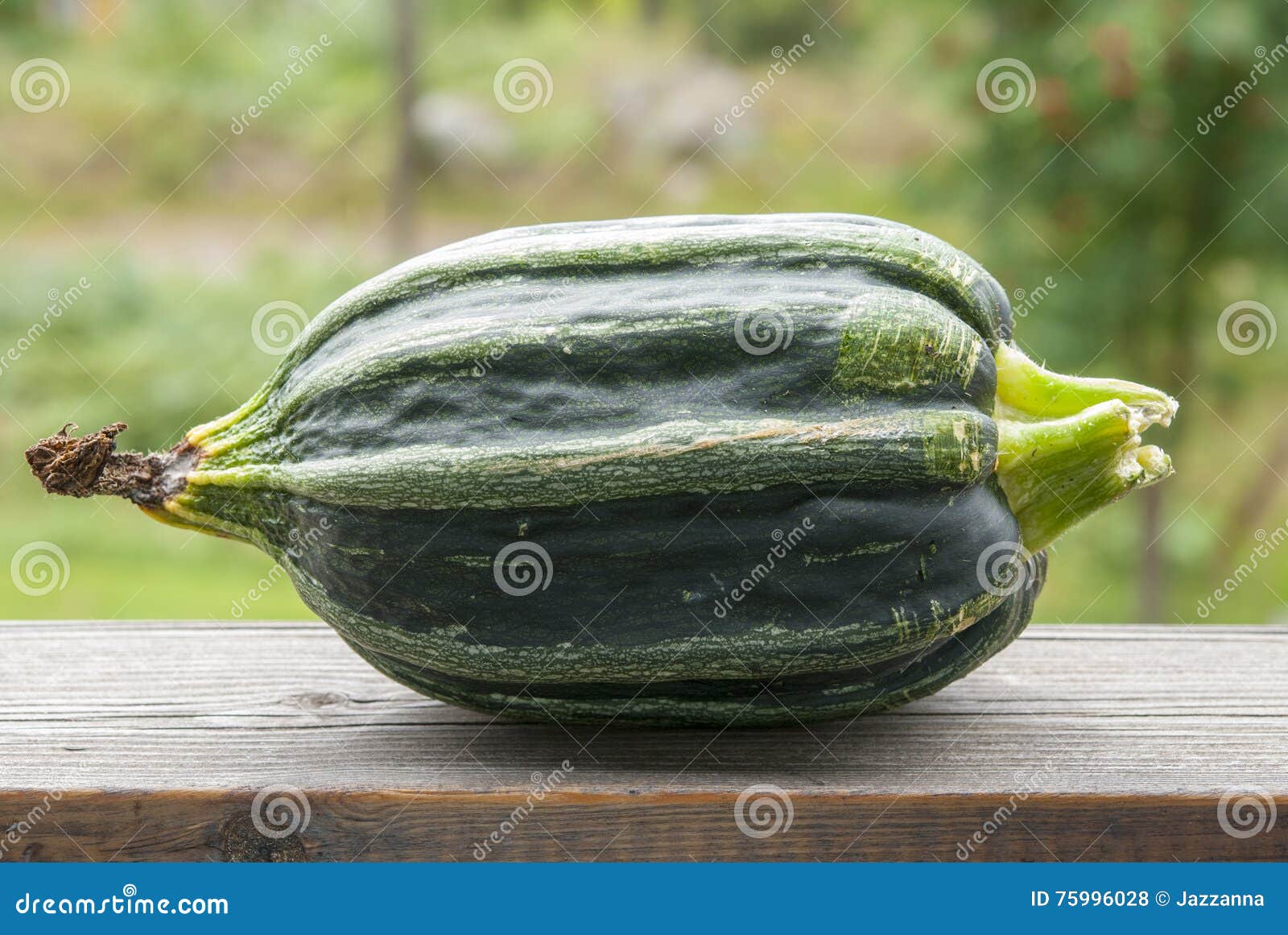 Squash in macro view stock photo. Image of fresh, food - 75996028