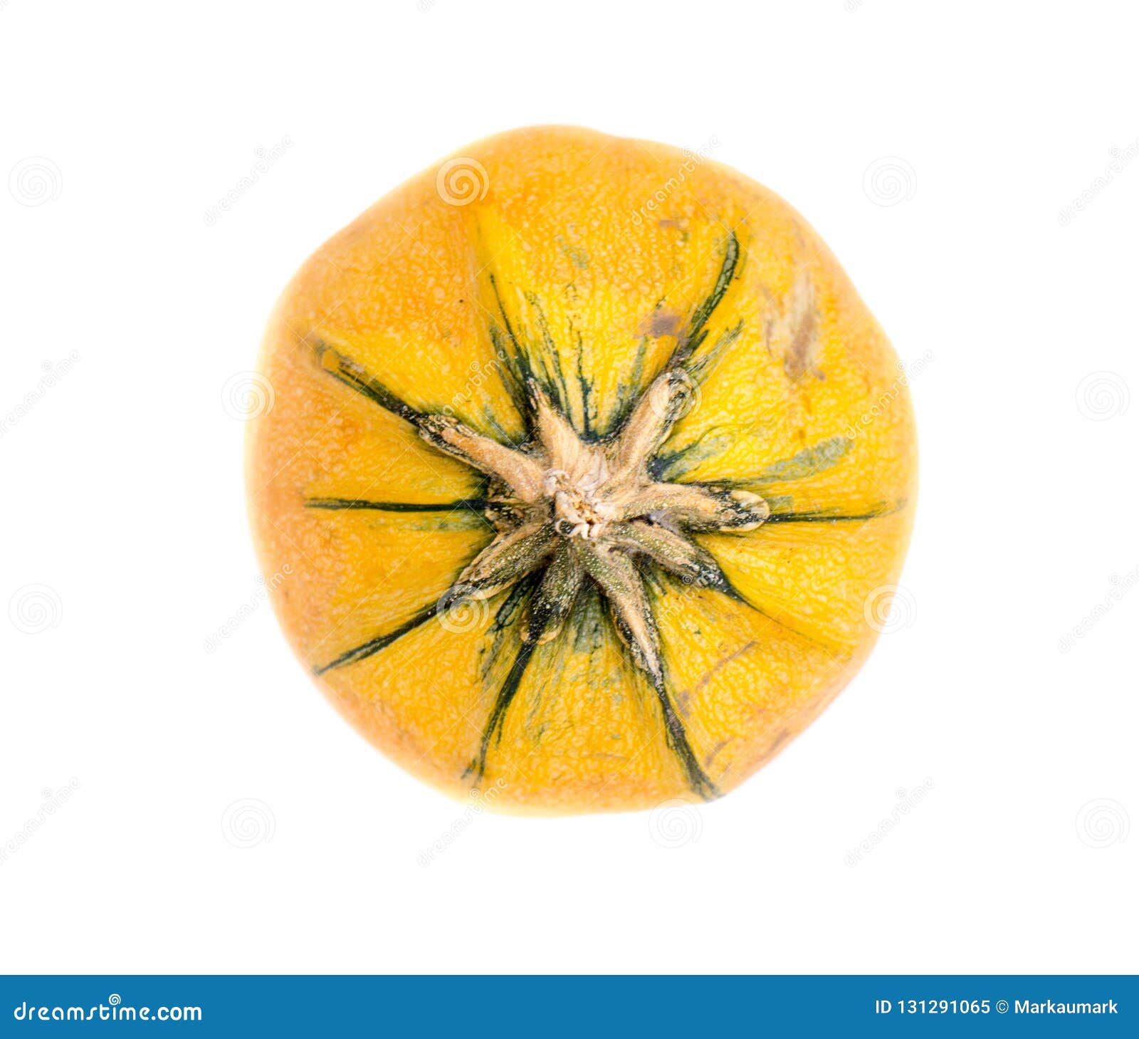 The squash object. stock image. Image of object, squash - 131291065