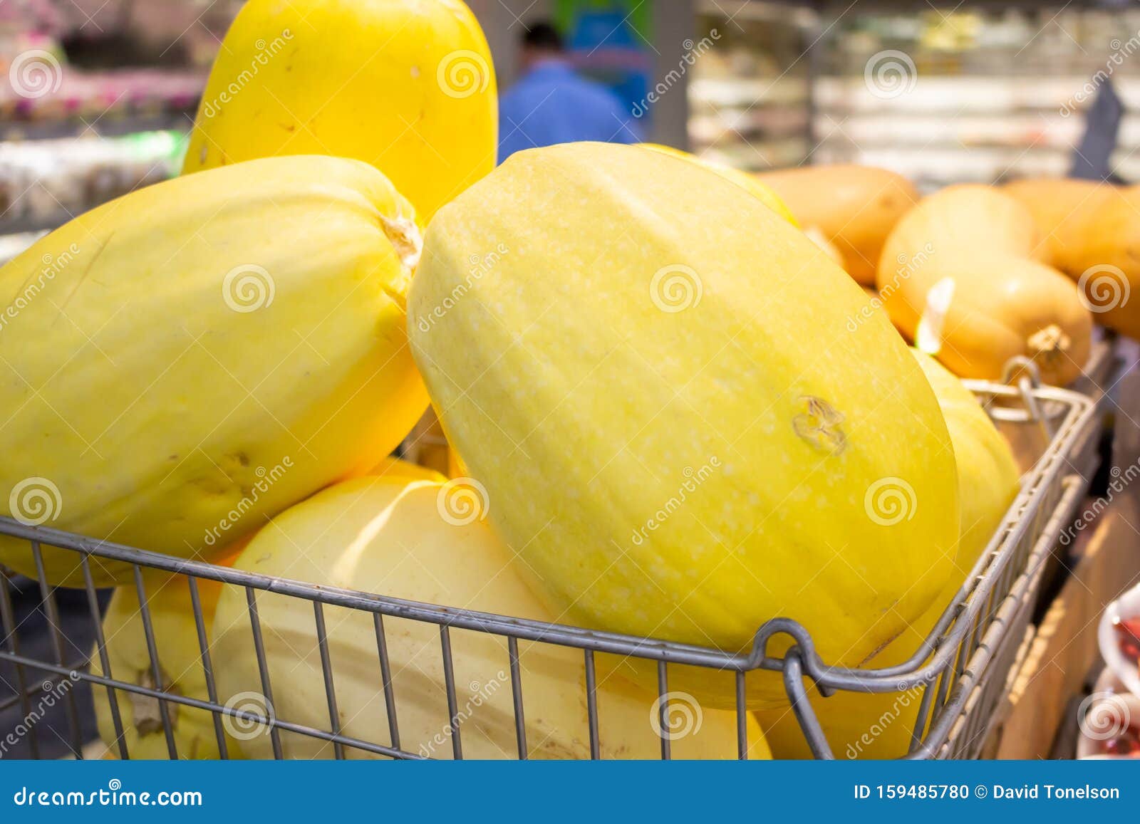 Squash at the store stock photo. Image of organized - 159485780