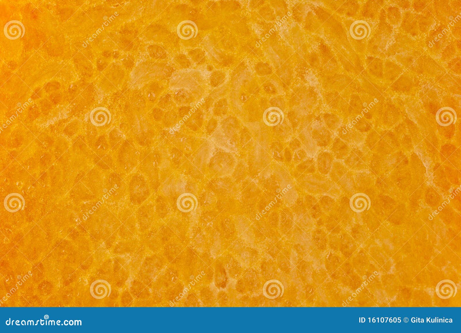 Squash texture. stock image. Image of stem, gourd, colored - 16107605