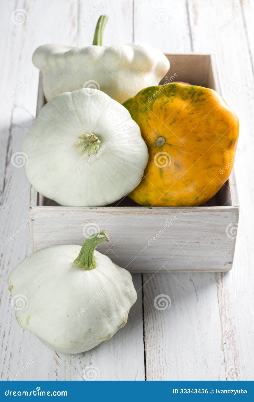 Squash vegetable stock photo. Image of patty, squash - 33343456