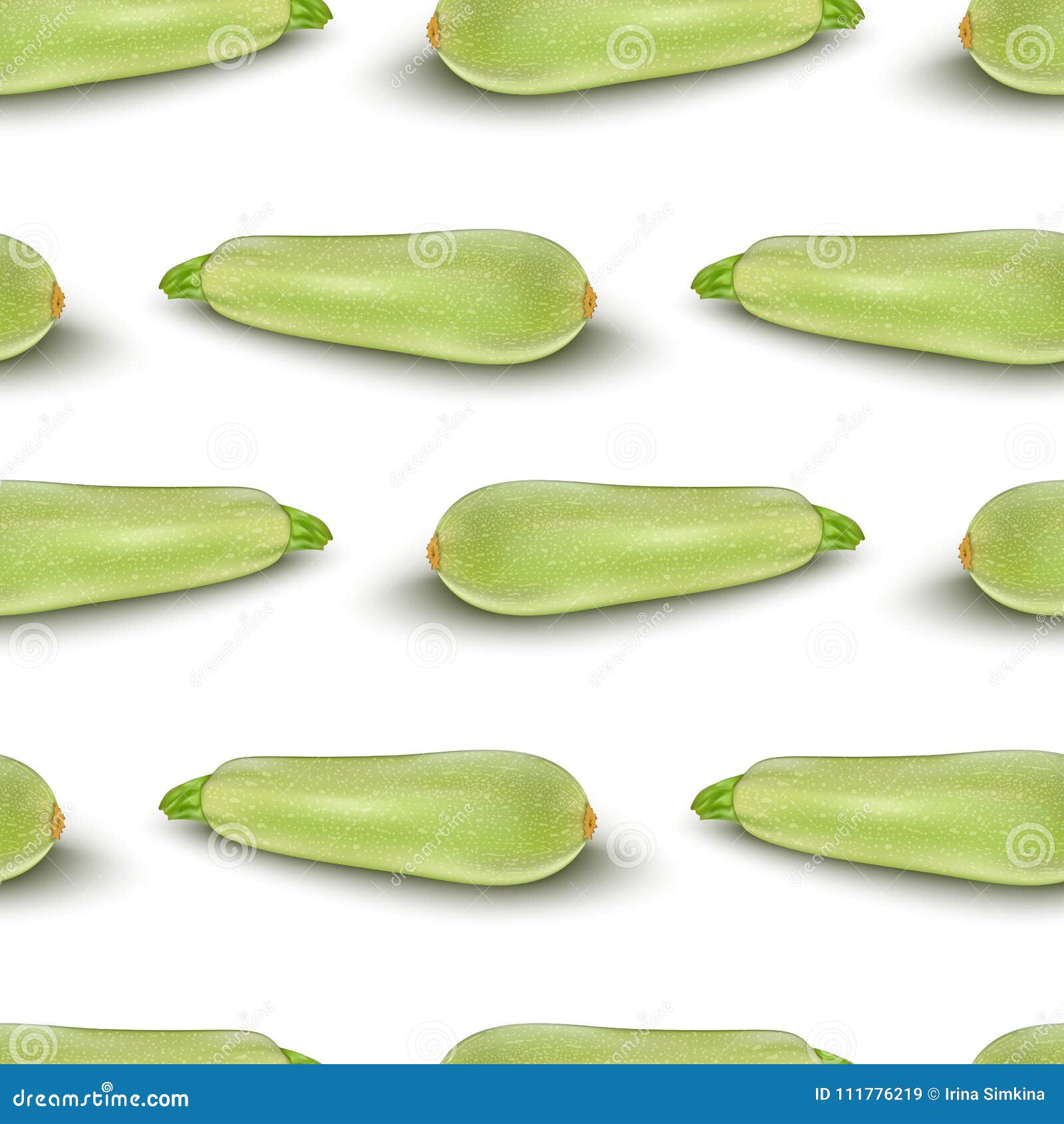 Squash Vegetable Marrow Zucchini Isolated on White Stock Vector ...